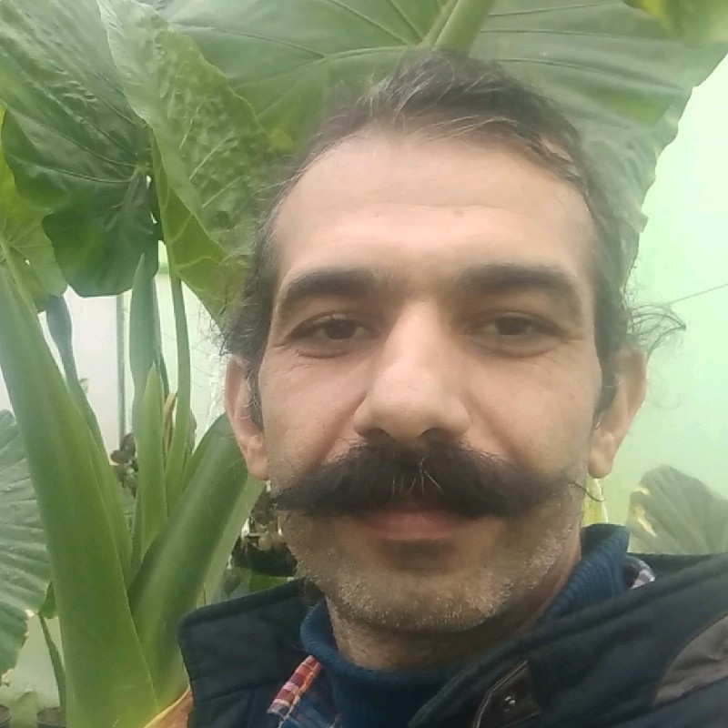 Mahdi Rahimi - Web Developer - rasm.site | LinkedIn Mahdi Rahimi - Web Developer - rasm.site | LinkedIn
