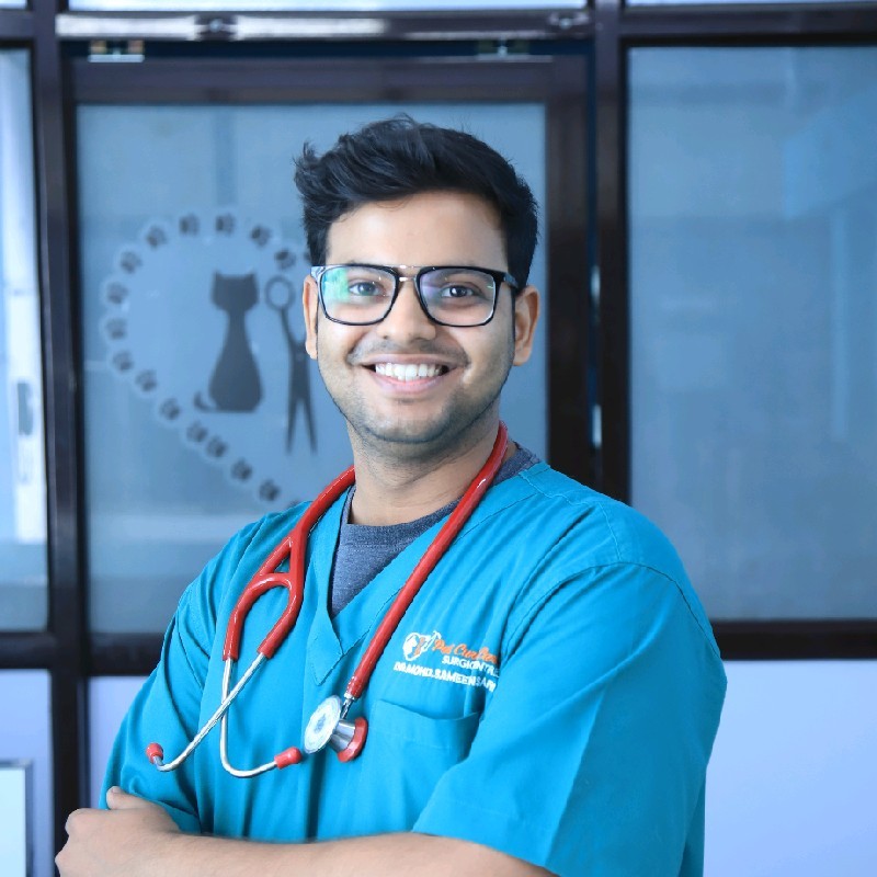Dr. Mohammad Sameer Ansari - Associate Veterinarian - Pet Cure And Care ... Dr. Mohammad Sameer Ansari - Associate Veterinarian - Pet Cure And Care ...