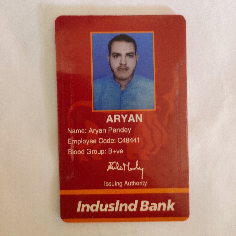 Aryan Pandey - Employee Relations Officer - IndusInd Bank | LinkedIn Aryan Pandey - Employee Relations Officer - IndusInd Bank | LinkedIn