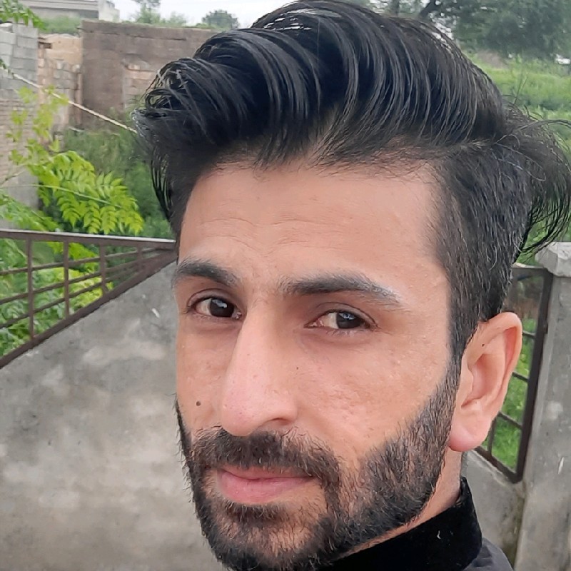 Syed Shabih Ul Hasnain Jafry - Freelance - Freelance (Self employed ... Syed Shabih Ul Hasnain Jafry - Freelance - Freelance (Self employed ...