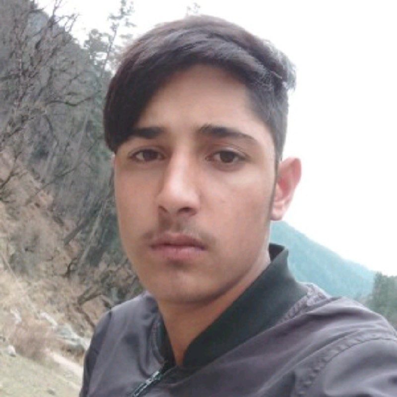 Danish Hussain Butt - Army - ARMY | LinkedIn Danish Hussain Butt - Army - ARMY | LinkedIn