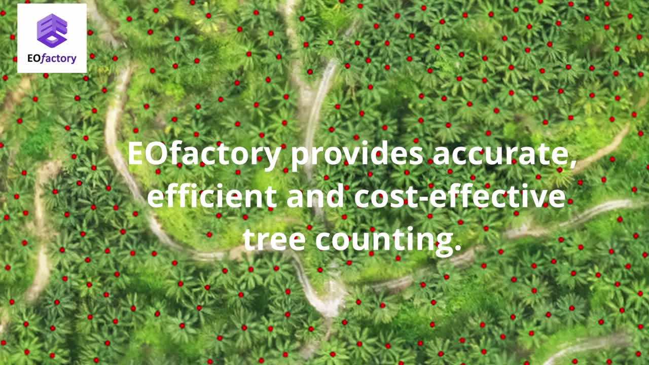 Dr. Haifa Al Mohammad on LinkedIn: Tree Counting Using AI/ML Dr. Haifa Al Mohammad on LinkedIn: Tree Counting Using AI/ML