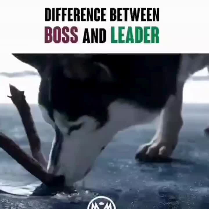 Vamsi Krishna Pindiproli on LinkedIn: a simple way of representation.. Vamsi Krishna Pindiproli on LinkedIn: a simple way of representation..