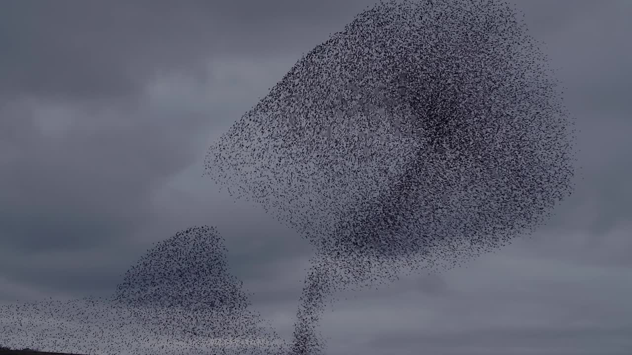Andreas Sjostrom on LinkedIn: #ai #autonomousagents #aifuture Andreas Sjostrom on LinkedIn: #ai #autonomousagents #aifuture