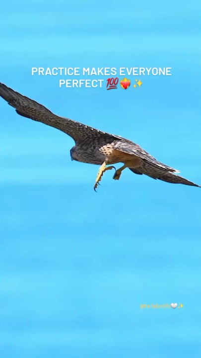 Francis Praveen VR posted on LinkedIn Francis Praveen VR posted on LinkedIn