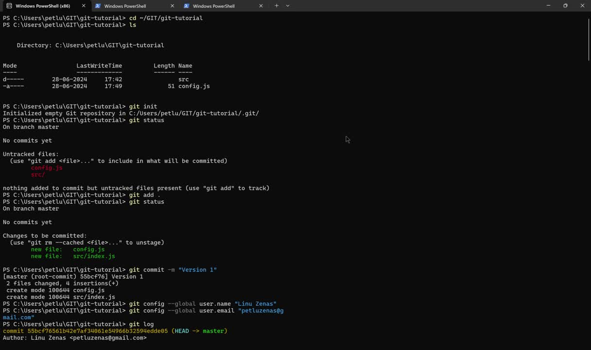 Petlu Linu Zenas Paul on LinkedIn: #git #github #coding #versioncontrol ... Petlu Linu Zenas Paul on LinkedIn: #git #github #coding #versioncontrol ...