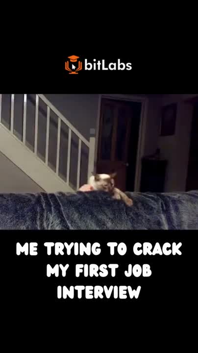 bitLabs on LinkedIn: #bitlabs #interviewmemes #jobmemes #freshermemes # ... bitLabs on LinkedIn: #bitlabs #interviewmemes #jobmemes #freshermemes # ...