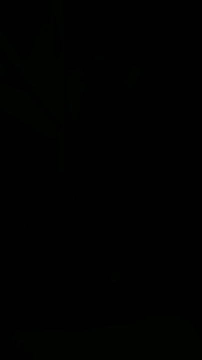 Ahmadou Moustapha Beye on LinkedIn: #coding #webdevelopment #html #css ... Ahmadou Moustapha Beye on LinkedIn: #coding #webdevelopment #html #css ...