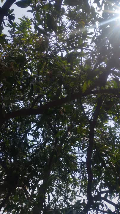 Mukul Kumar Shukla on LinkedIn: Protecting nature today ensures a ... Mukul Kumar Shukla on LinkedIn: Protecting nature today ensures a ...