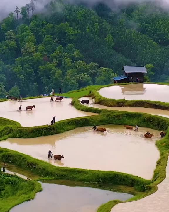Rohit Singh on LinkedIn: Its Amazing Greenish Seen. Regards Rohit Singh ... Rohit Singh on LinkedIn: Its Amazing Greenish Seen. Regards Rohit Singh ...