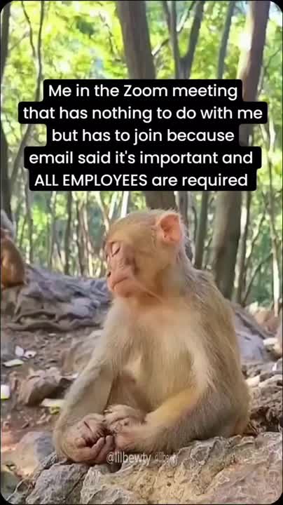 Mohan Nayak on LinkedIn: 😊 Mohan Nayak on LinkedIn: 😊
