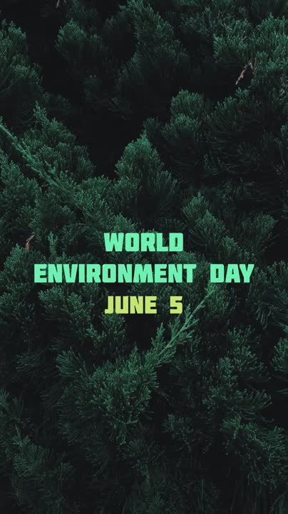 Merin George on LinkedIn: #environmentday #officecelebrations #gratitude Merin George on LinkedIn: #environmentday #officecelebrations #gratitude