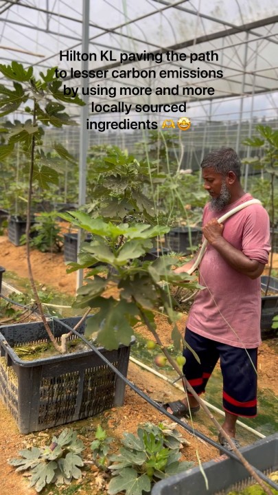 Kazi Hassan on LinkedIn: #hilton #sustainability #quality #sourcing # ... Kazi Hassan on LinkedIn: #hilton #sustainability #quality #sourcing # ...