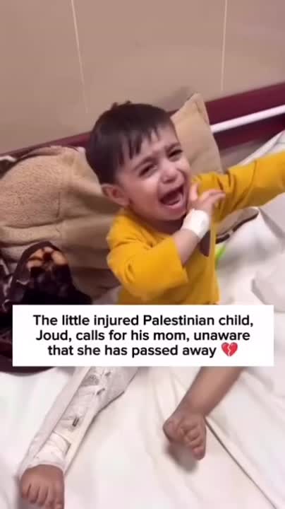 Mohammad Haseeb Ahmad on LinkedIn: He is from my Prophet Muhammad (S.A ... Mohammad Haseeb Ahmad on LinkedIn: He is from my Prophet Muhammad (S.A ...