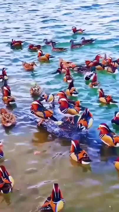 Dr. Banshilal Srivastava on LinkedIn: ganga mata ne bulaya hai kya in ... Dr. Banshilal Srivastava on LinkedIn: ganga mata ne bulaya hai kya in ...