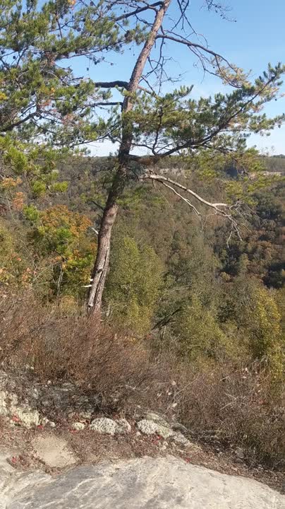 Tom Tressler on LinkedIn: Move Beyond Surviving will attempt to ... Tom Tressler on LinkedIn: Move Beyond Surviving will attempt to ...