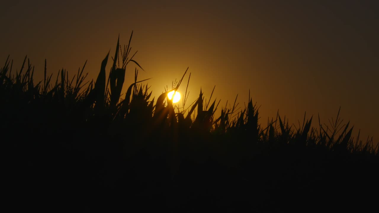 Muneer Shaik on LinkedIn: First Day of Summer! Muneer Shaik on LinkedIn: First Day of Summer!