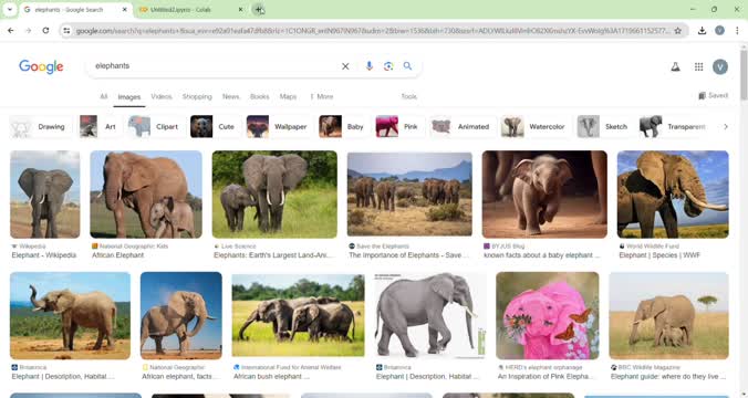 Vinay Kumar Adapa on LinkedIn: #aimers #aimersociety #huggingfacemodel ... Vinay Kumar Adapa on LinkedIn: #aimers #aimersociety #huggingfacemodel ...
