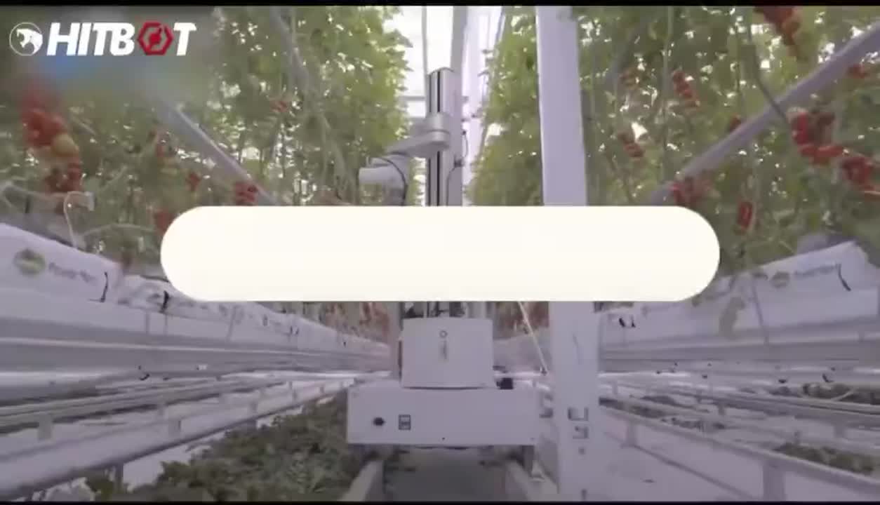 Yonathan Cohen on LinkedIn: How automation lowers costs and enhances ... Yonathan Cohen on LinkedIn: How automation lowers costs and enhances ...