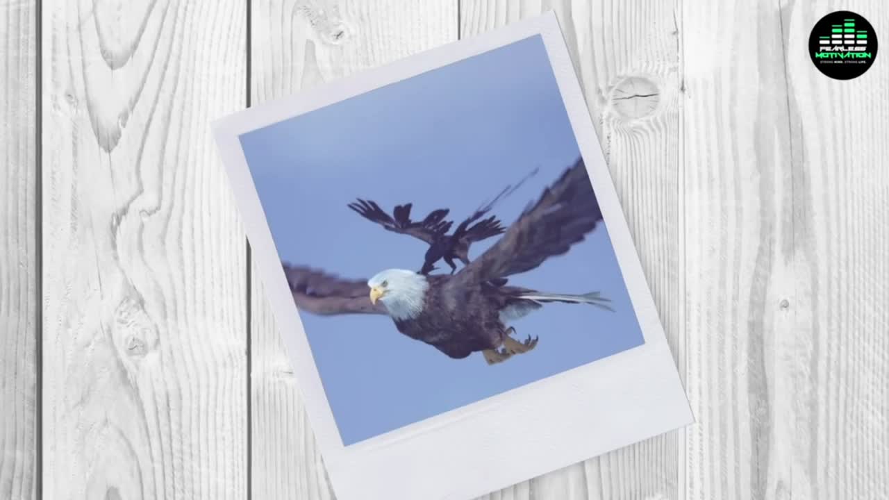 Dr. Rukshan Perera on LinkedIn: Removing all crows from your life - How ... Dr. Rukshan Perera on LinkedIn: Removing all crows from your life - How ...