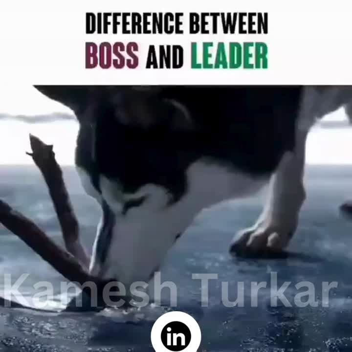 Kamesh Turkar on LinkedIn: #leadershipmatters #bossvsleader # ... Kamesh Turkar on LinkedIn: #leadershipmatters #bossvsleader # ...