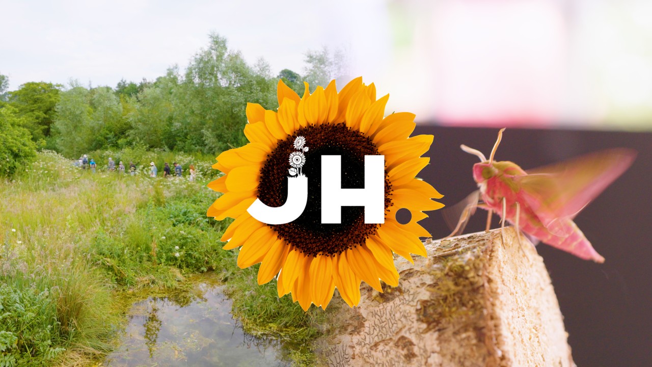 Connor Bryant on LinkedIn: Julia Hailes' Wilding Weekend Connor Bryant on LinkedIn: Julia Hailes' Wilding Weekend