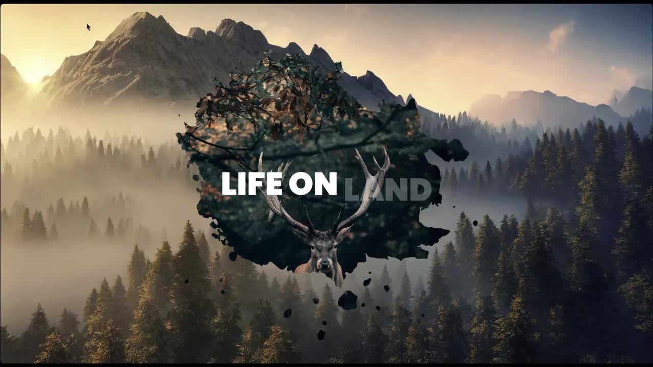 Thinula Jayavihan on LinkedIn: #sustainability #ecosystems # ... Thinula Jayavihan on LinkedIn: #sustainability #ecosystems # ...