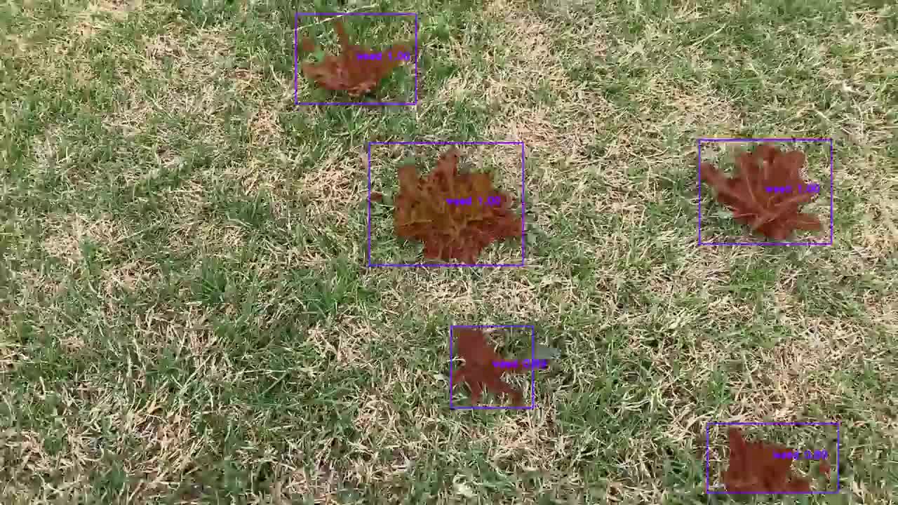 Antar AI on LinkedIn: #agriculture #detection #yolo #yolov8 # ... Antar AI on LinkedIn: #agriculture #detection #yolo #yolov8 # ...