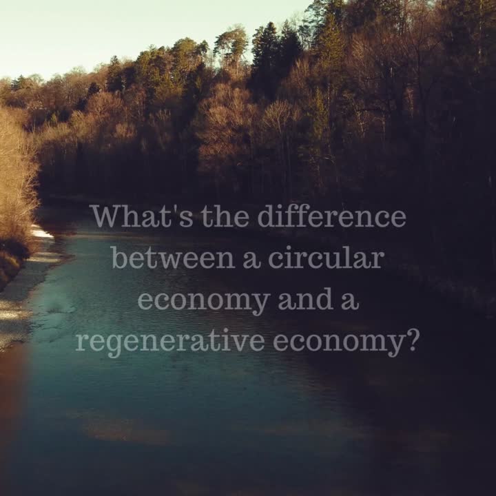 Stacey Stormo on LinkedIn: What's the difference between a circular ... Stacey Stormo on LinkedIn: What's the difference between a circular ...