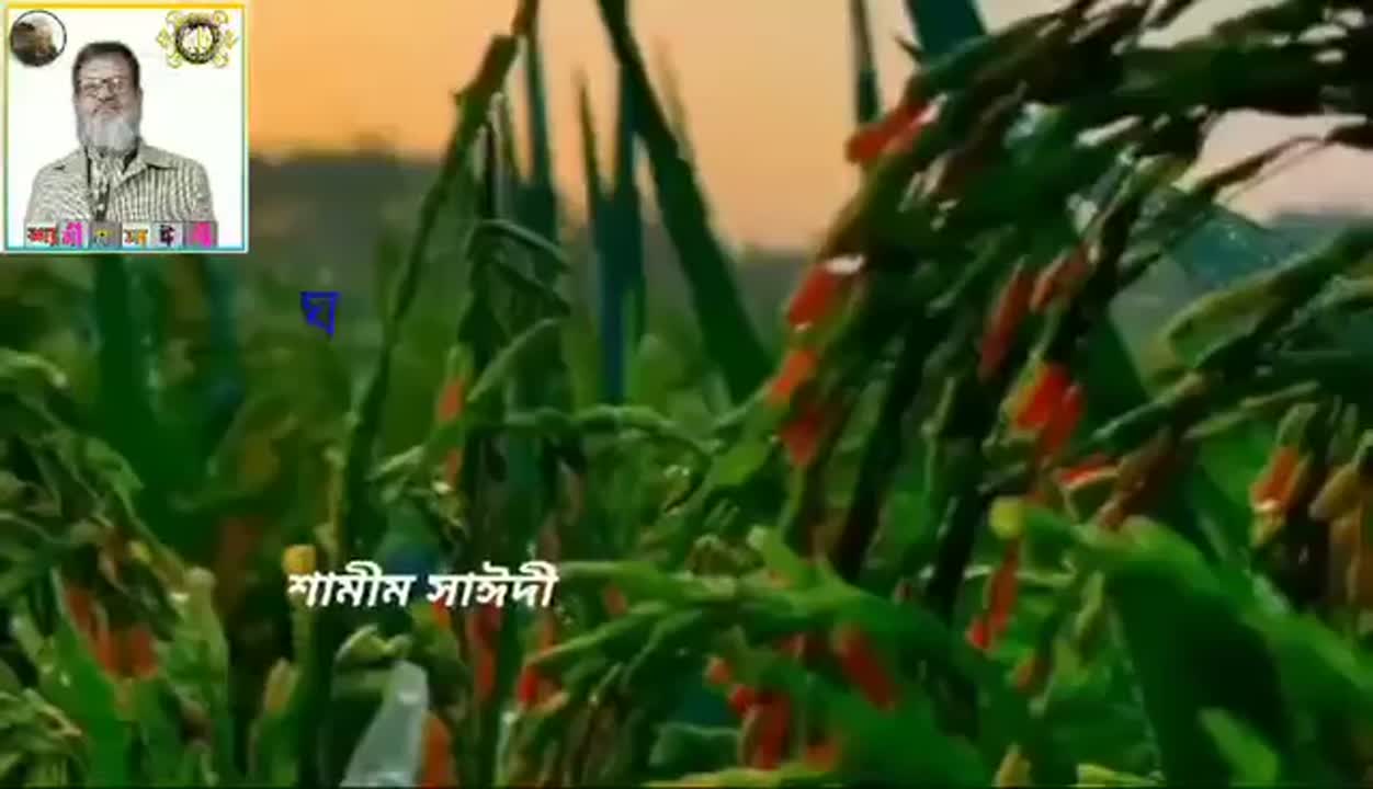 Shameem Sayedee on LinkedIn: 'আসসালাতু খাইরুম মিনান নাউম' الصَّلَوةُ ... Shameem Sayedee on LinkedIn: 'আসসালাতু খাইরুম মিনান নাউম' الصَّلَوةُ ...