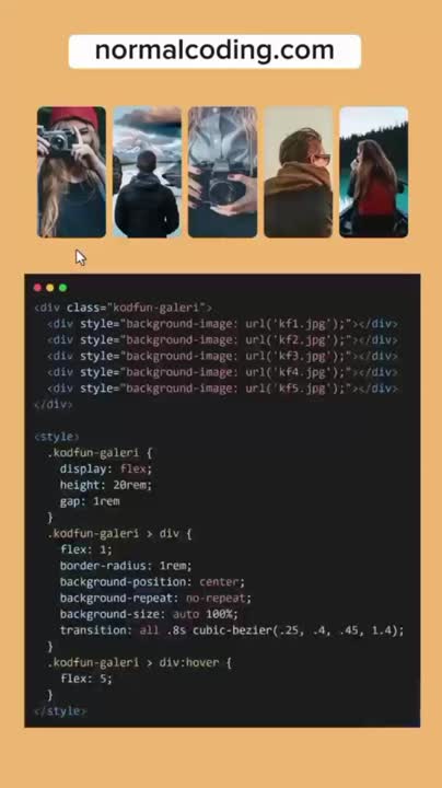 Gagan Saini on LinkedIn: #css #flexbox #flex #effects #animation # ... Gagan Saini on LinkedIn: #css #flexbox #flex #effects #animation # ...
