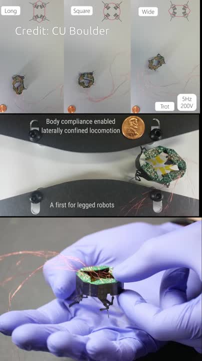 Rajamanickam Antonimuthu on LinkedIn: This tiny, shape-shifting robot ... Rajamanickam Antonimuthu on LinkedIn: This tiny, shape-shifting robot ...