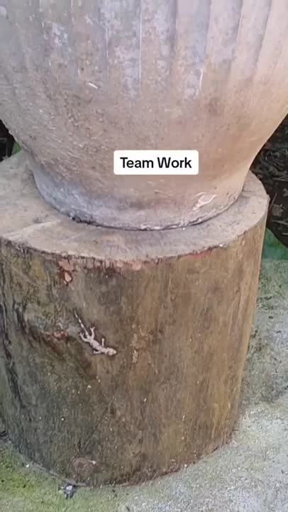Nizamuddin Mohammed on LinkedIn: Team Work Nizamuddin Mohammed on LinkedIn: Team Work