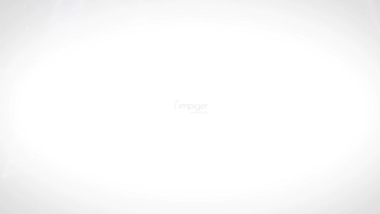Impiger Technologies Inc on LinkedIn: #impiger20thstride ... Impiger Technologies Inc on LinkedIn: #impiger20thstride ...