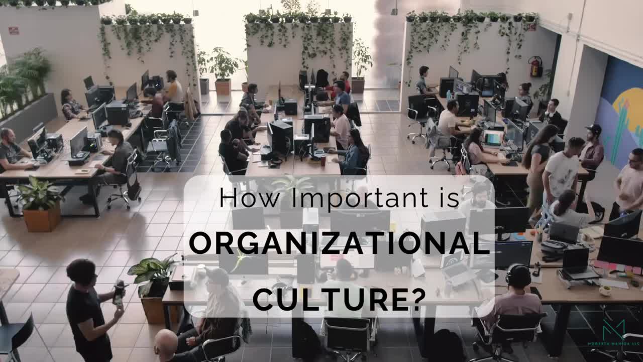 Modesta Mahiga LLC on LinkedIn: #organizationalculture # ... Modesta Mahiga LLC on LinkedIn: #organizationalculture # ...
