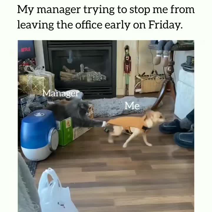 M. Rafeeq Ahamed on LinkedIn: ๐ I hope this video made you smile. Have ... M. Rafeeq Ahamed on LinkedIn: ๐ I hope this video made you smile. Have ...