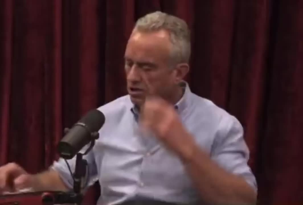 Renate Siekmann on LinkedIn: RFK Jr. is exactly the reason why the ... Renate Siekmann on LinkedIn: RFK Jr. is exactly the reason why the ...