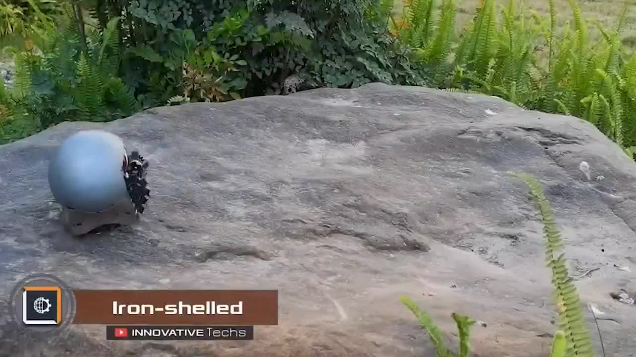 Quarero Robotics on LinkedIn: Robot Snails Quarero Robotics on LinkedIn: Robot Snails