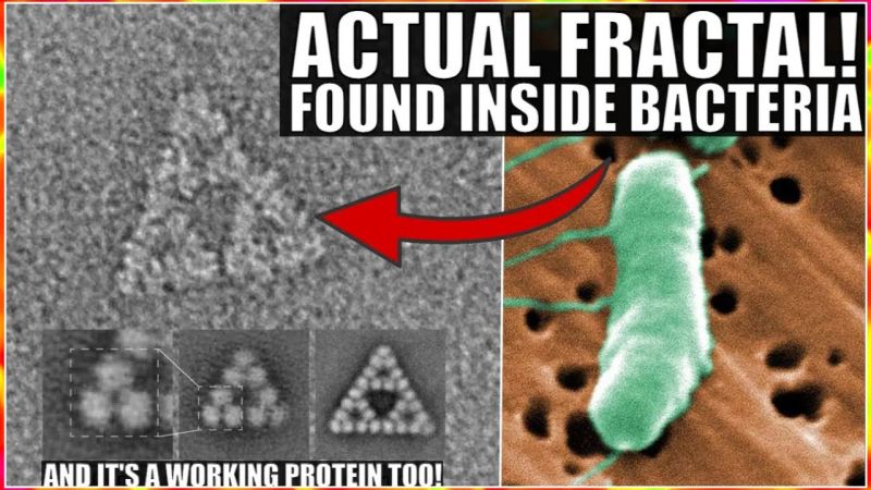 Hien H. on LinkedIn: Wow! First Ever Fractal Molecule Discovered Inside ... Hien H. on LinkedIn: Wow! First Ever Fractal Molecule Discovered Inside ...