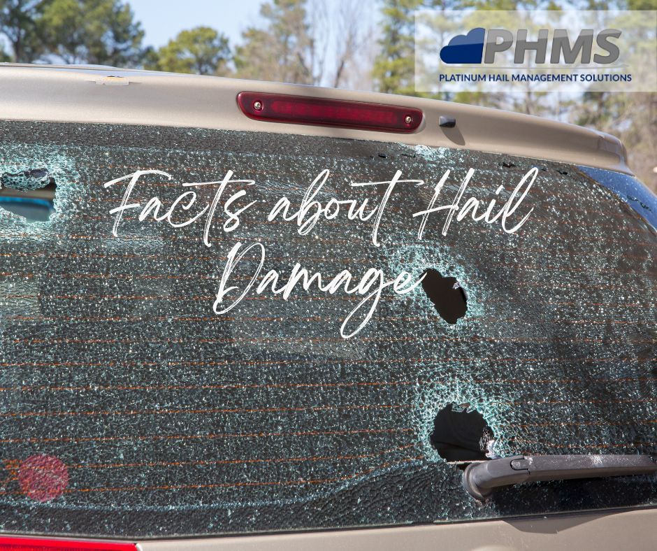 Platinum Hail Management Solutions on LinkedIn: Facts about Hail Damage ... Platinum Hail Management Solutions on LinkedIn: Facts about Hail Damage ...