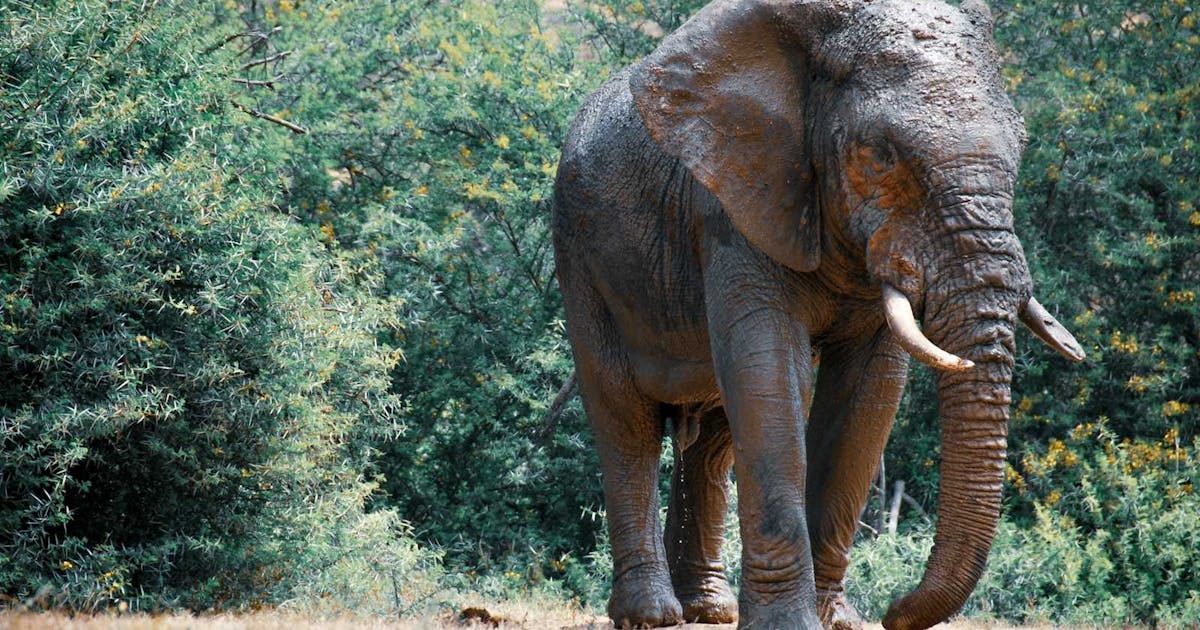 MinervaSQL on LinkedIn: Optimize PostgreSQL Queries with VACUUM MinervaSQL on LinkedIn: Optimize PostgreSQL Queries with VACUUM