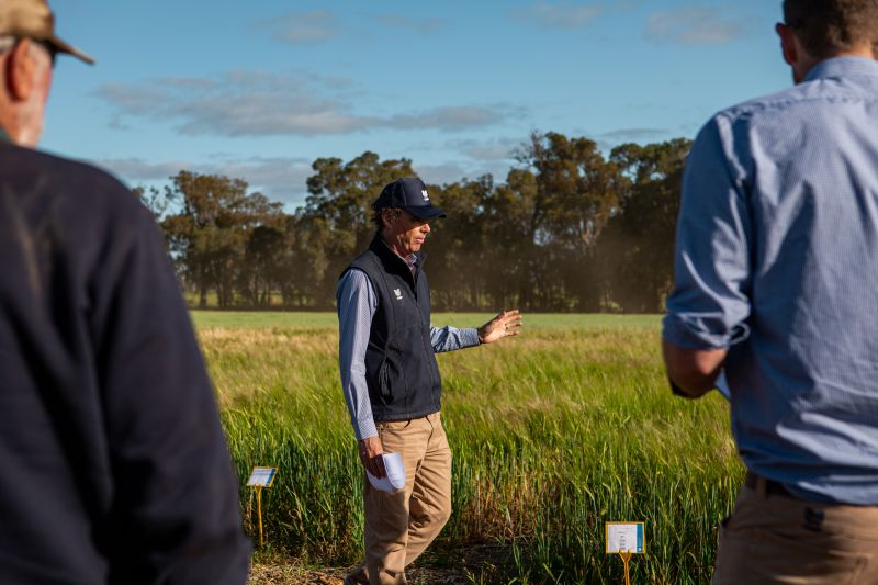 CSBP Fertilisers on LinkedIn: We have an exciting job opportunity for a ... CSBP Fertilisers on LinkedIn: We have an exciting job opportunity for a ...