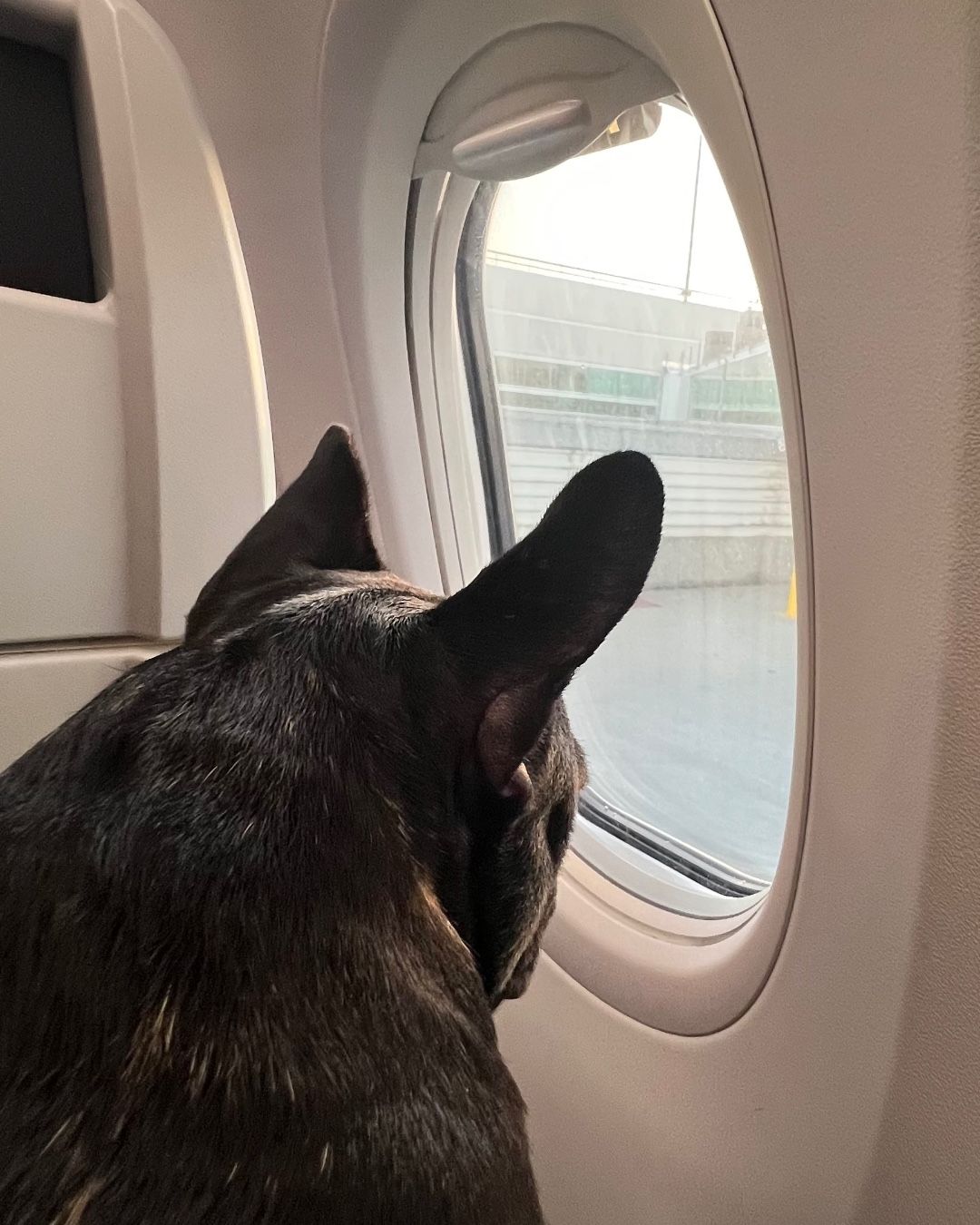 Ontario International Airport on LinkedIn: #socalsoeasy Ontario International Airport on LinkedIn: #socalsoeasy