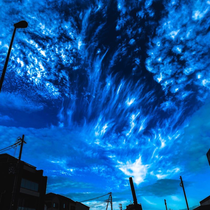 kiyotaka M. on LinkedIn: Thousands of dragons kiyotaka M. on LinkedIn: Thousands of dragons