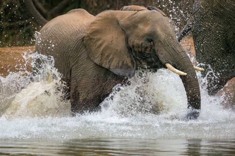 MinervaSQL on LinkedIn: Troubleshooting PostgreSQL JOIN Performance ... MinervaSQL on LinkedIn: Troubleshooting PostgreSQL JOIN Performance ...
