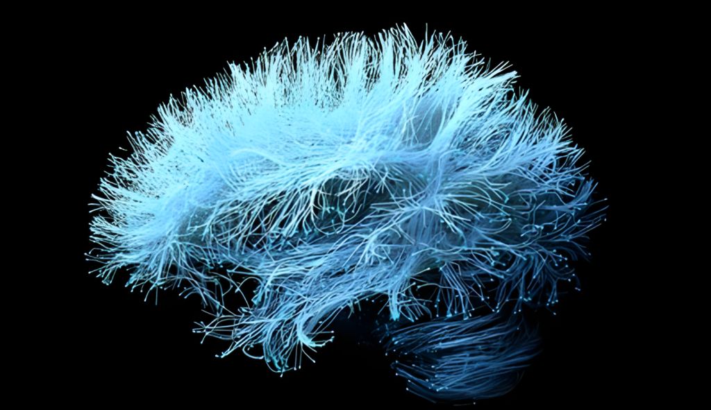 Sean McGowan on LinkedIn: Machine Learning Algorithms: Linear ... Sean McGowan on LinkedIn: Machine Learning Algorithms: Linear ...