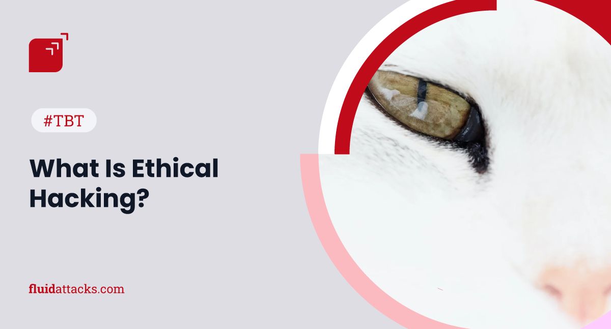 Fluid Attacks on LinkedIn: Ethical hacking Fluid Attacks on LinkedIn: Ethical hacking