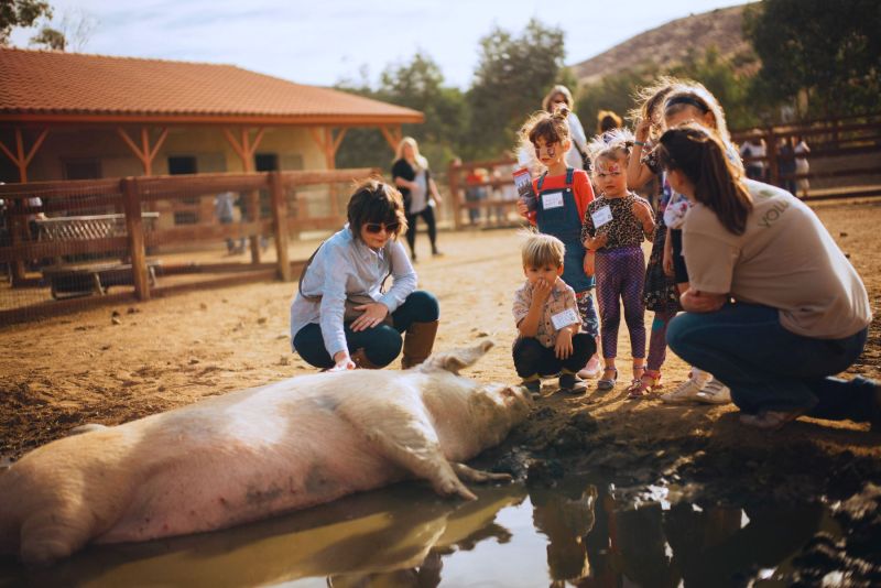 Ieda Moriya on LinkedIn: Family Day at Farm Sanctuary Ieda Moriya on LinkedIn: Family Day at Farm Sanctuary
