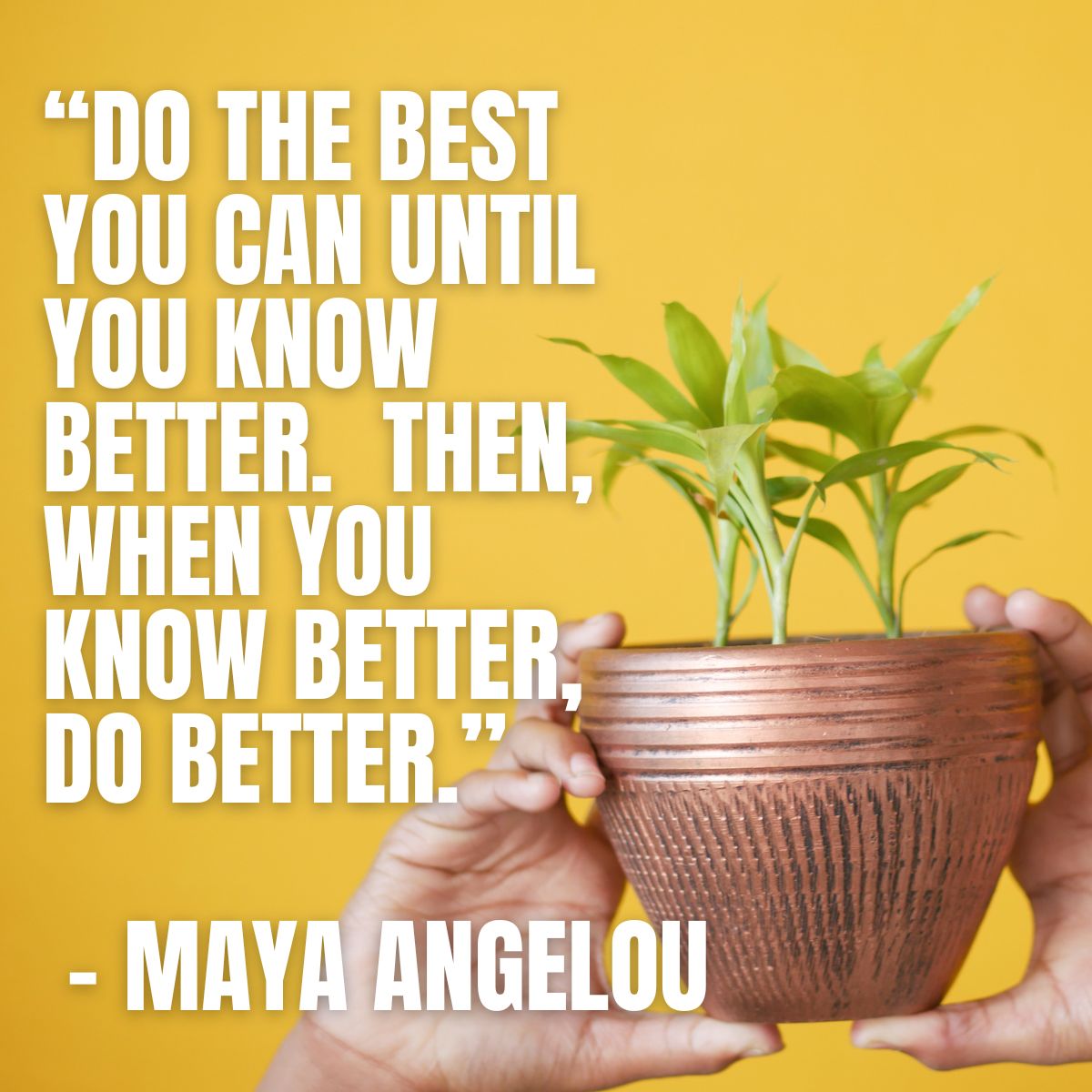 Eric Lee on LinkedIn: Different versions of this quote are out there ... Eric Lee on LinkedIn: Different versions of this quote are out there ...