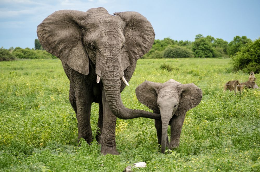 Shiv Iyer on LinkedIn: PostgreSQL 16 Query Planner/Optimizer ... Shiv Iyer on LinkedIn: PostgreSQL 16 Query Planner/Optimizer ...